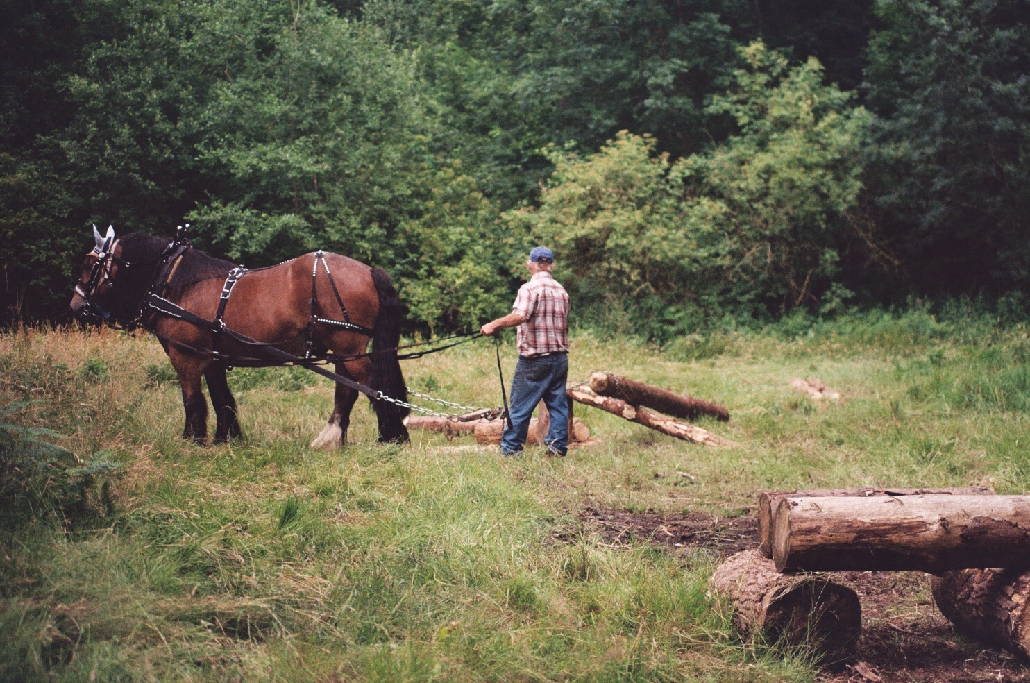 Arena Events HCF | Living Heritage Country Shows