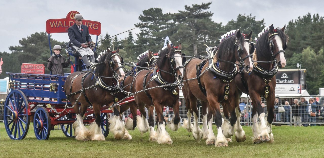 Sandringham Game & Country | Living Heritage Country Shows