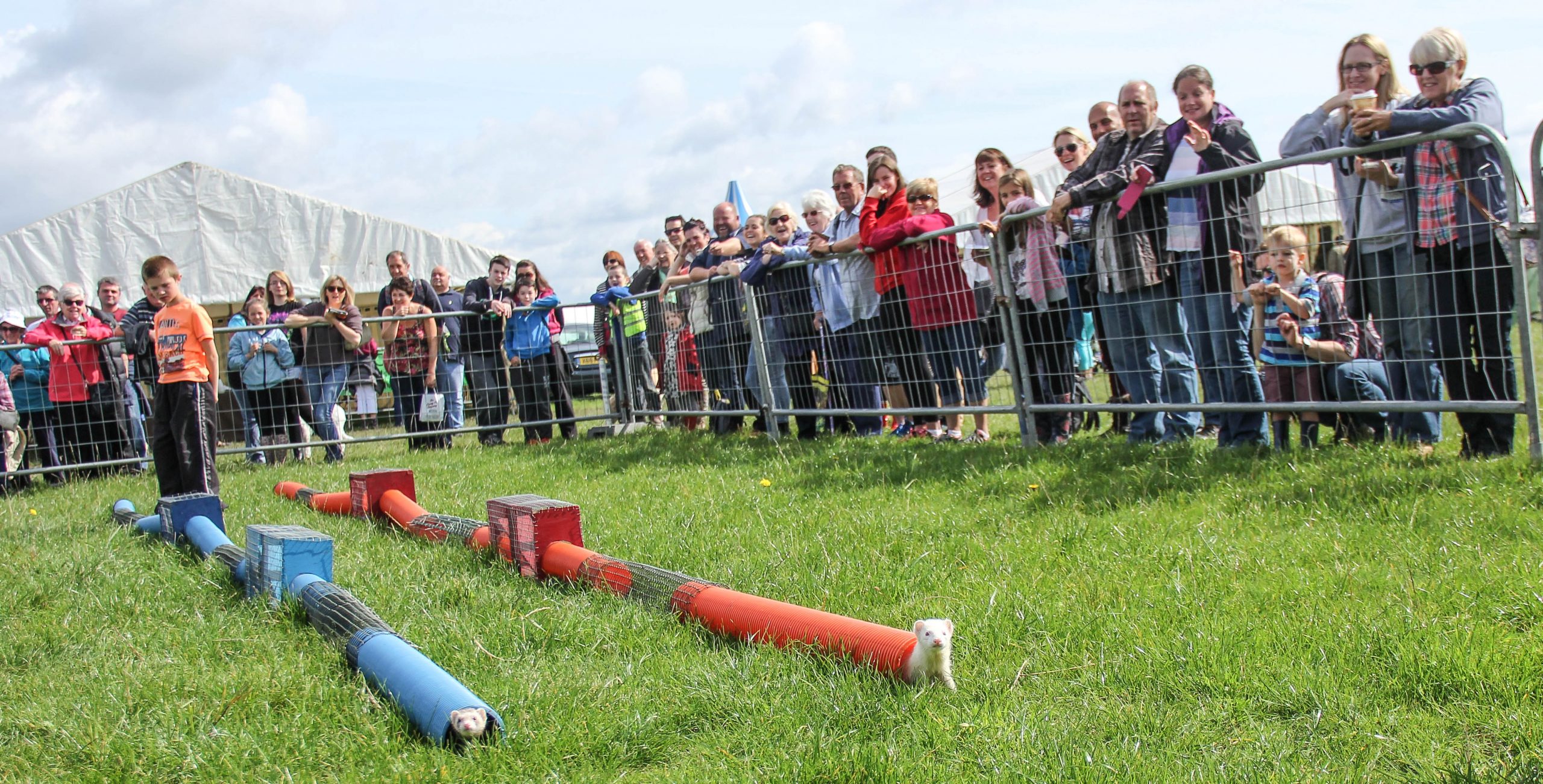 Family Entertainment at Thame | Living Heritage Country Shows