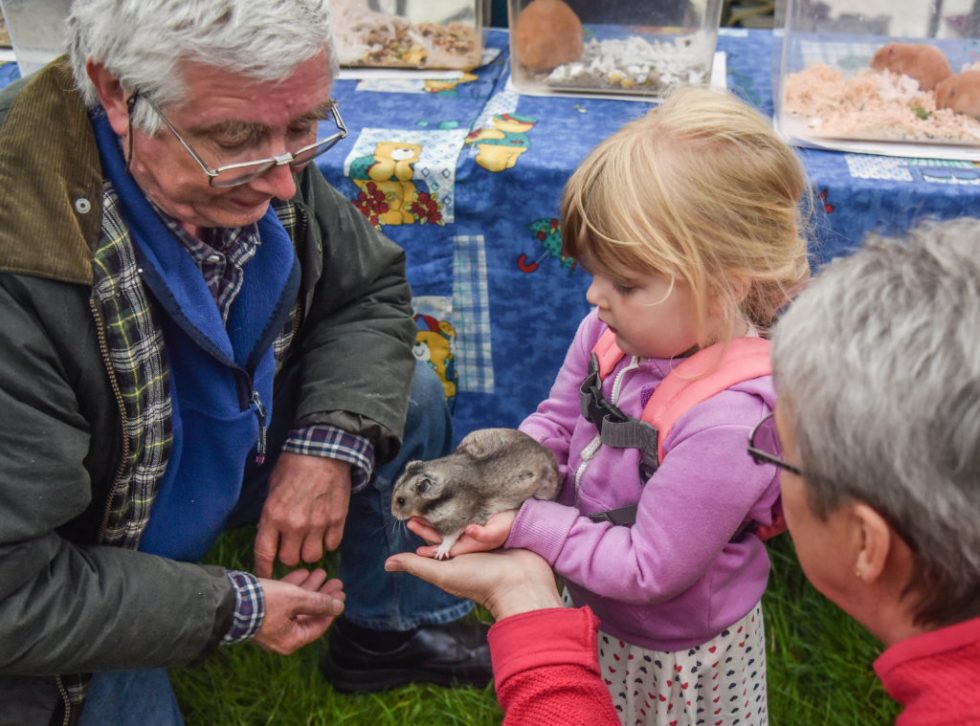 Family Entertainment | Living Heritage Country Shows