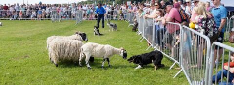 Arena Entertainment at Thame | Living Heritage Country Shows